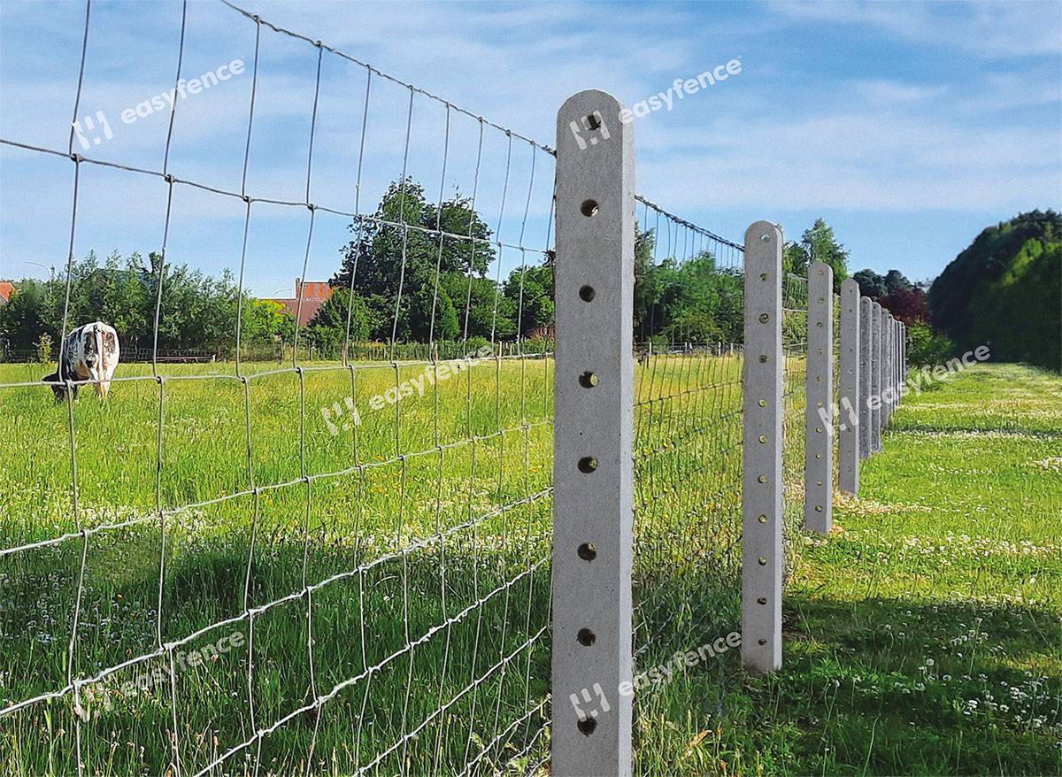 Clôtures en treillis | easyfence